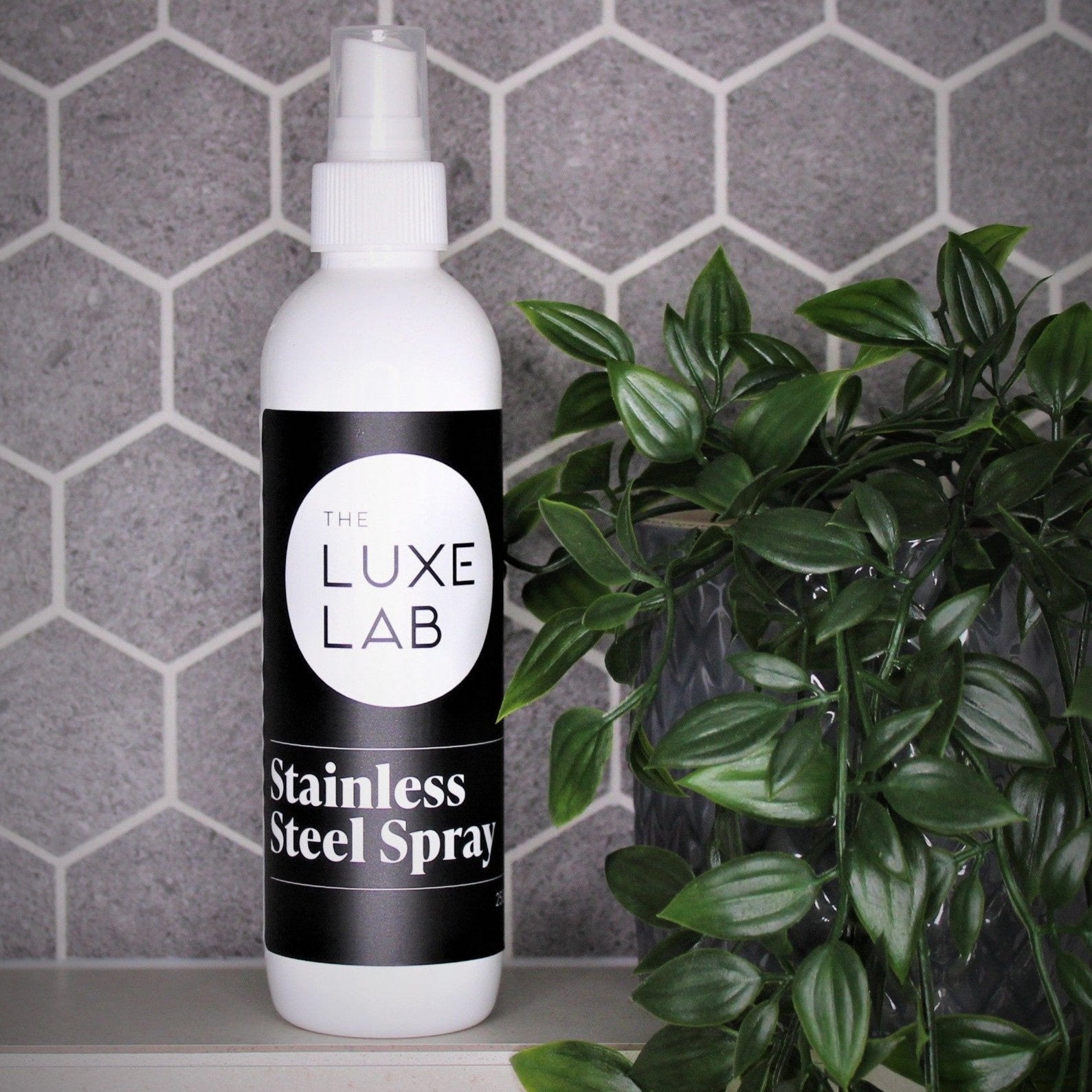 The Luxe Lab Stainless Steel Spray 250ml – The Appliance Group